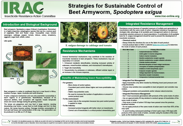 Beet armyworm Archives | Insecticide Resistance Action Committee