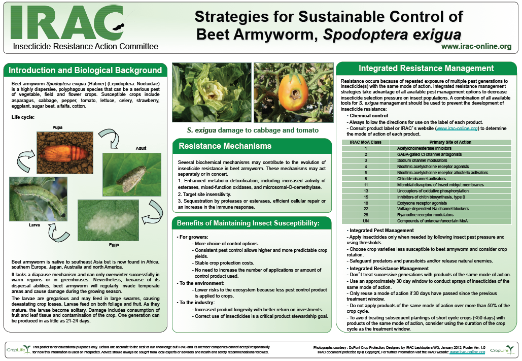 Beet armyworm Archives | Insecticide Resistance Action Committee