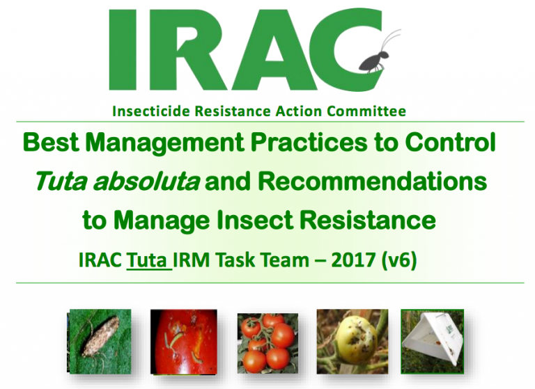 Tomato leafminer Archives | Insecticide Resistance Action Committee