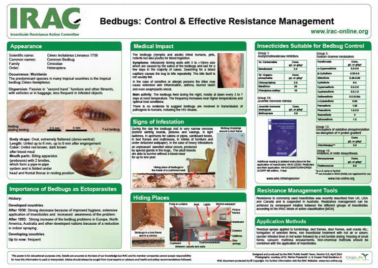 Cimex lectularius Archives | IRAC