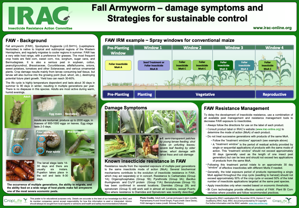 Asia Archives | Insecticide Resistance Action Committee