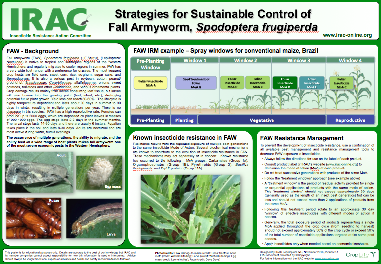 Fall armyworm Archives | Insecticide Resistance Action Committee