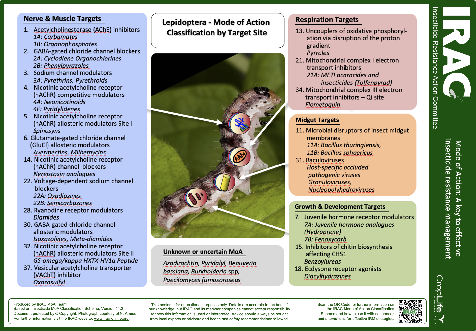 Mode of Action | Insecticide Resistance Action Committee (IRAC)