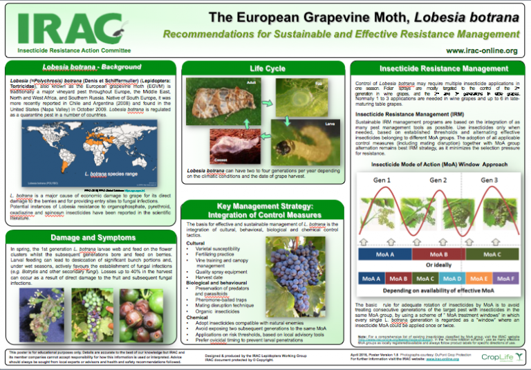 Lepidoptera | Insecticide Resistance Action Commiee (Insecticide ...