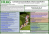 Mode of Action | Insecticide Resistance Action Committee (IRAC)