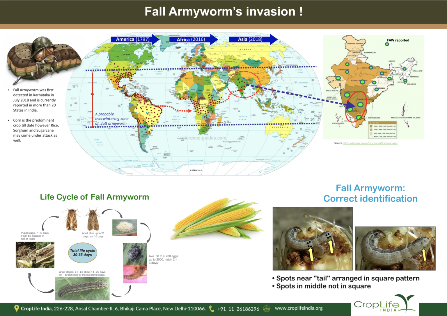 Fall armyworm Archives | Insecticide Resistance Action Committee