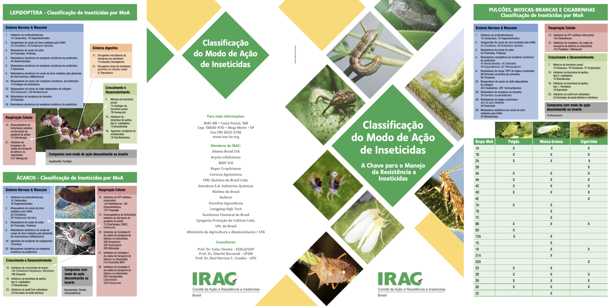 Mode of Action Classification | Insecticide Resistance Action Committee ...