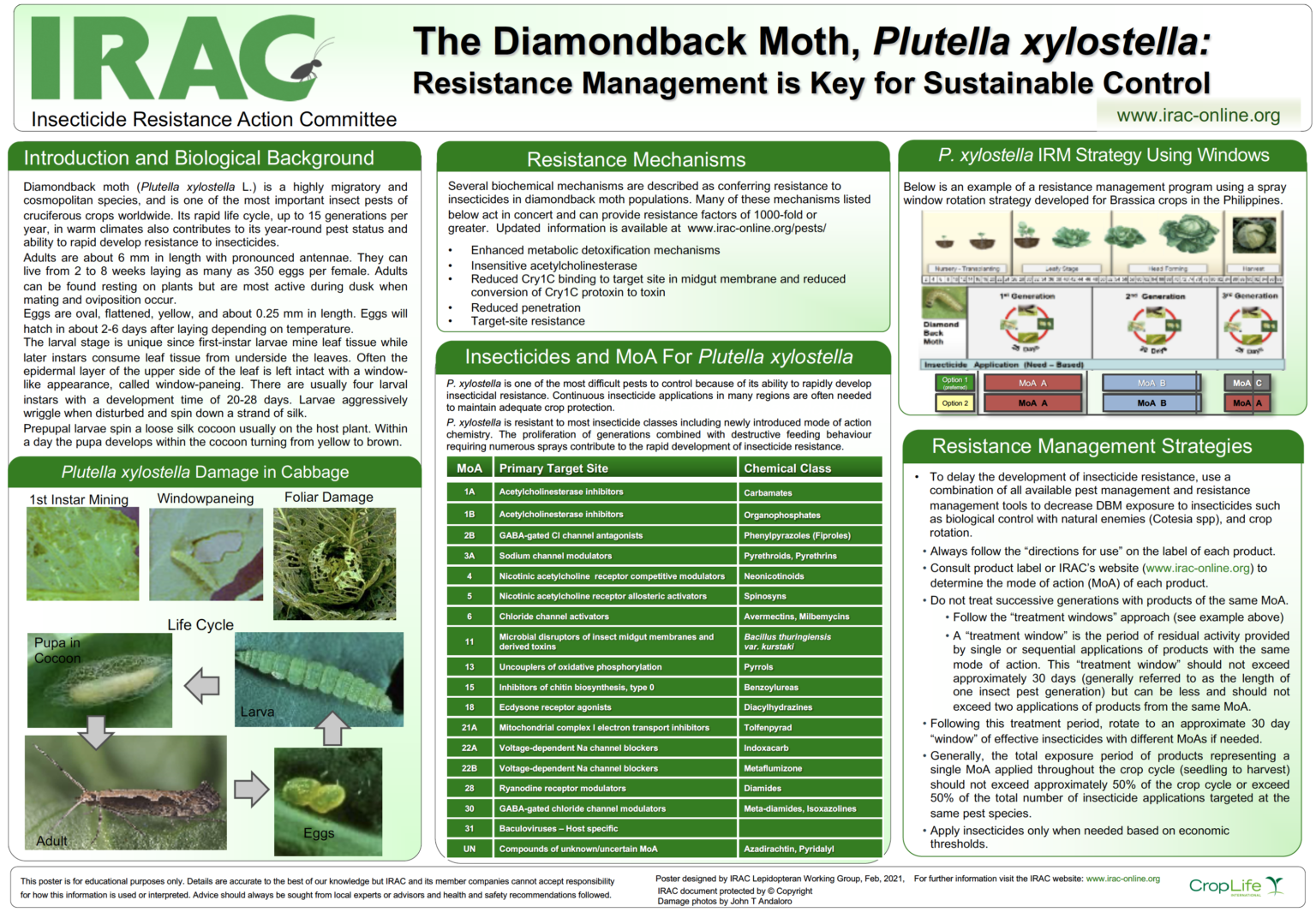 Diamondback Moth Archives | Insecticide Resistance Action Committee