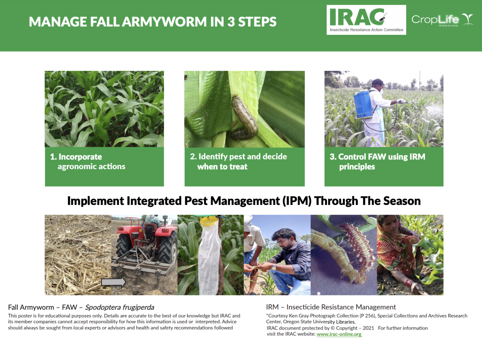 Fall armyworm Archives | Insecticide Resistance Action Committee