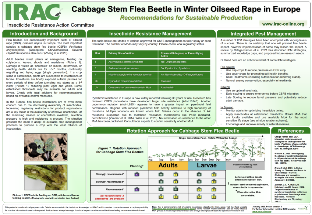 Chewing Pests Archives | Insecticide Resistance Action Committee