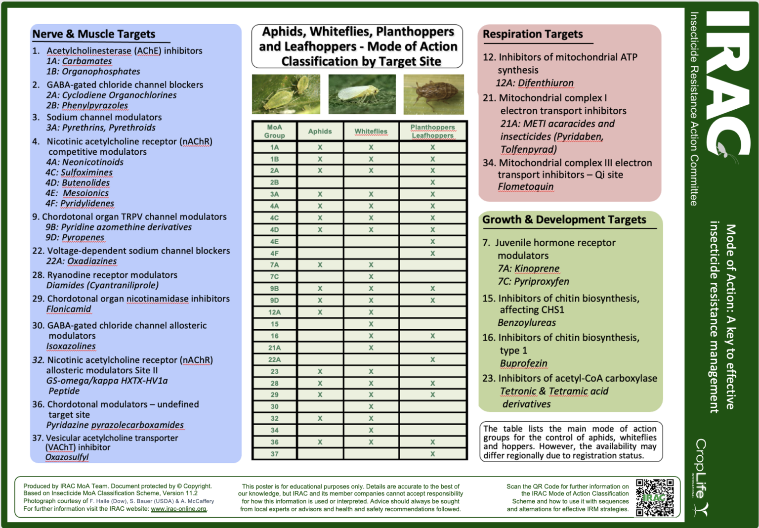 Corn leafhopper Archives | Insecticide Resistance Action Committee