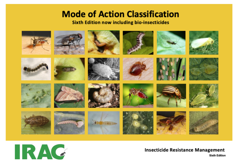 Mode of Action Archives | IRAC