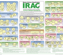 Mode of Action Classification | Insecticide Resistance Action Committee ...